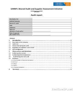 55 Amazing Audit Report Template – RedlineSP