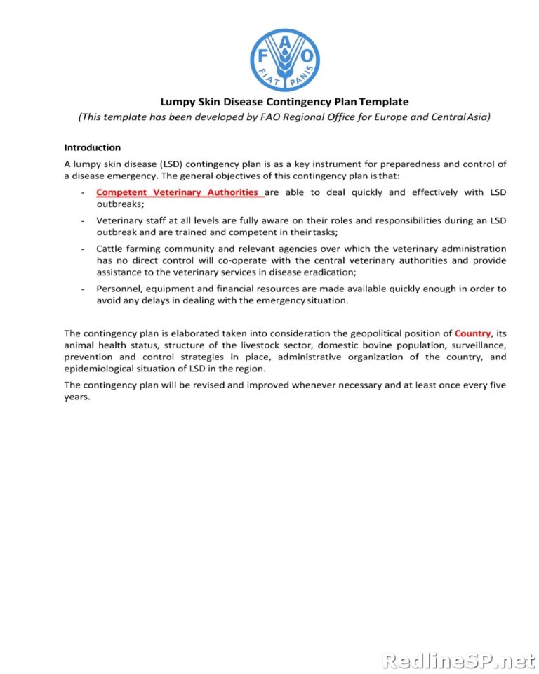 50 Amazing Contingency Plan Example Template