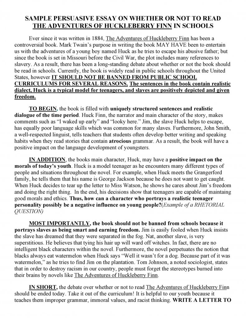 48 Amazing Persuasive Essay Examples RedlineSP