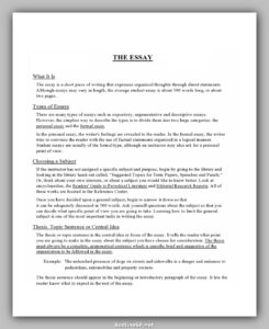 24 Greatest College Essay Examples - RedlineSP