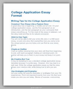 24 Greatest College Essay Examples - RedlineSP