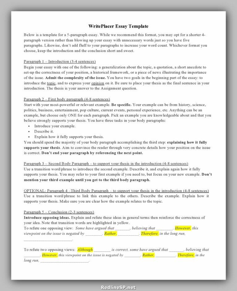 30 Best College Essay Template - RedlineSP
