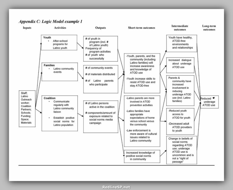 45+ Cool Logic Model Template - RedlineSP